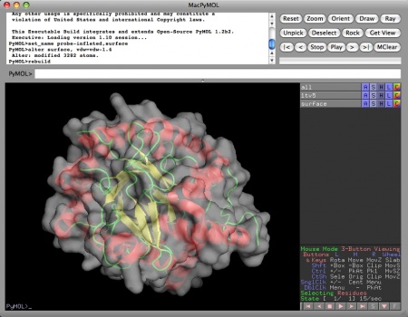 Surface - PyMOL Wiki